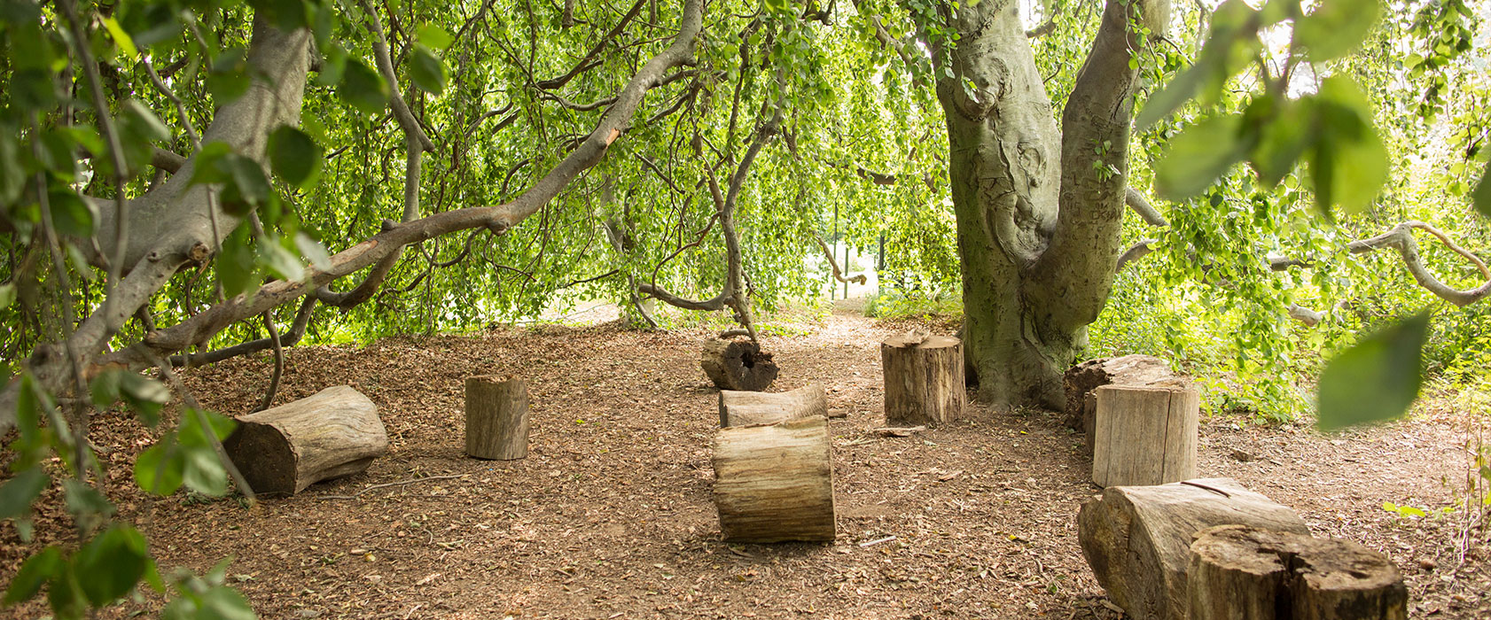 New Canaan Nature Center | Nature, Education | New Canaan, CT